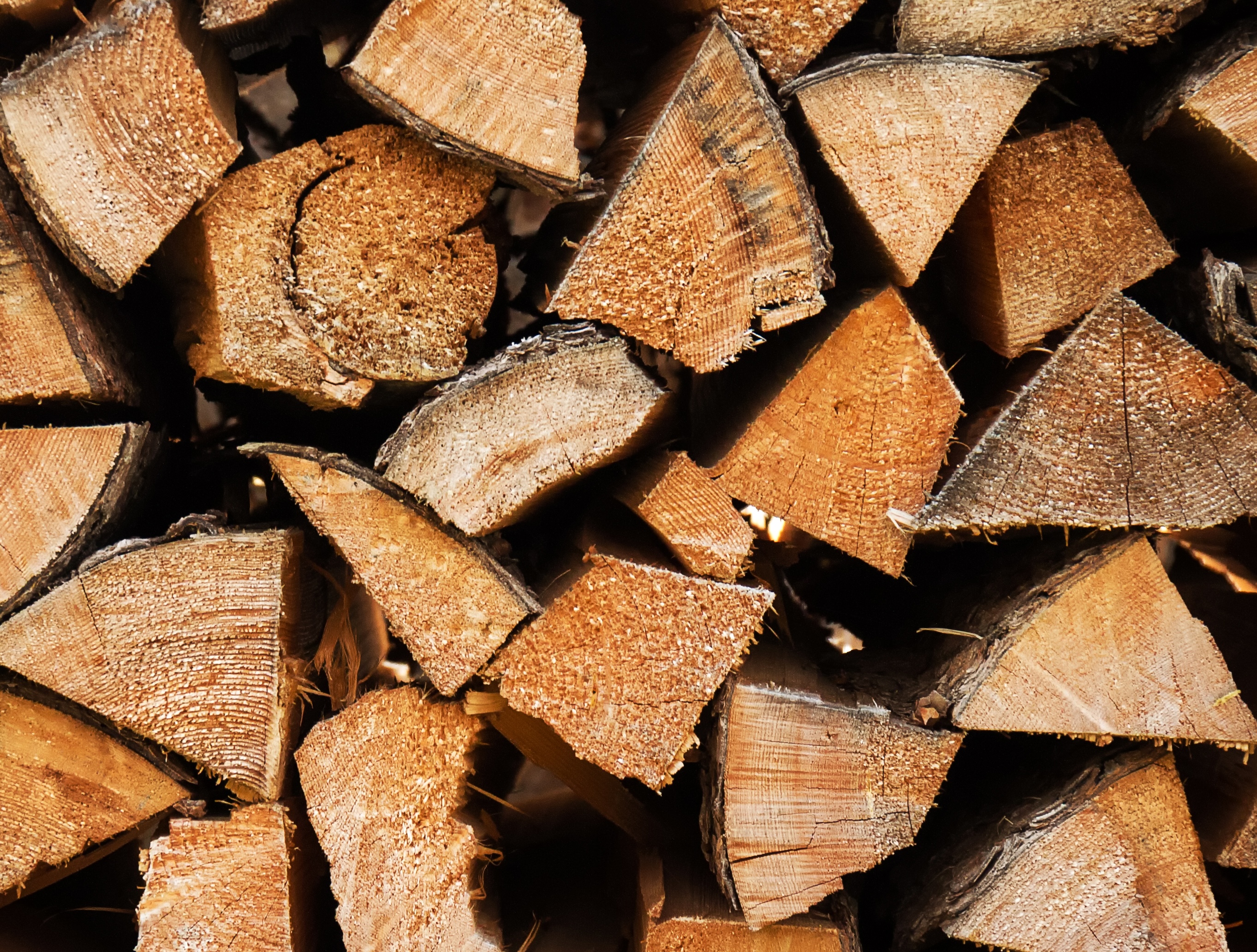 Hotwood Firewood